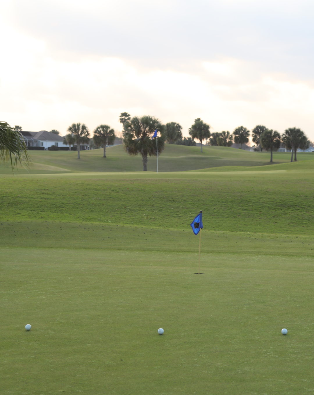 About Us | Ocala Palms